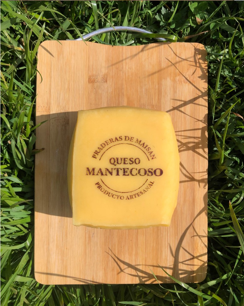 Queso Mantecoso por mayor 20 unidades de 1 kg aprox IVA incluido ...